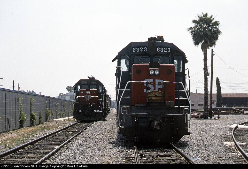 SP 6323 and SP 6336